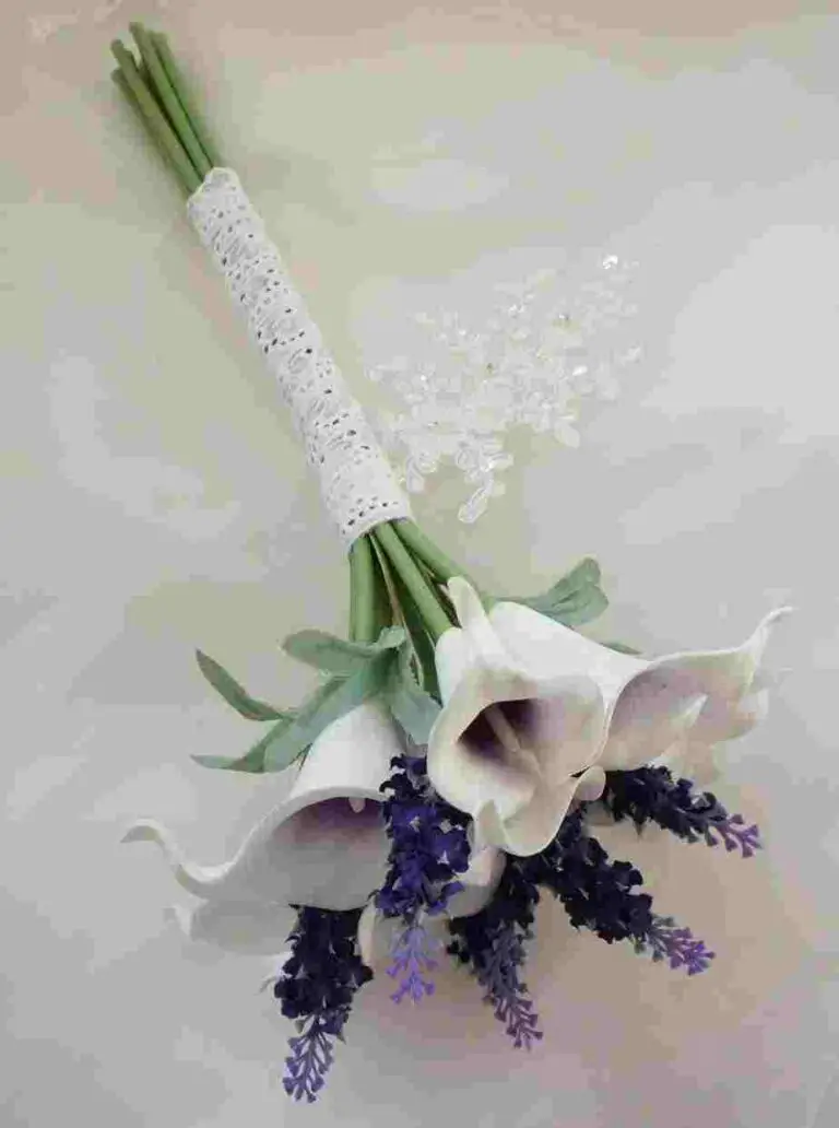 Calla Lily - Esquejes, Propagación, Propagación, Rizomas (Cuidado)