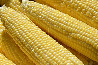 16 Vegetables That Are Actually Fruits (Scientifically Proven)