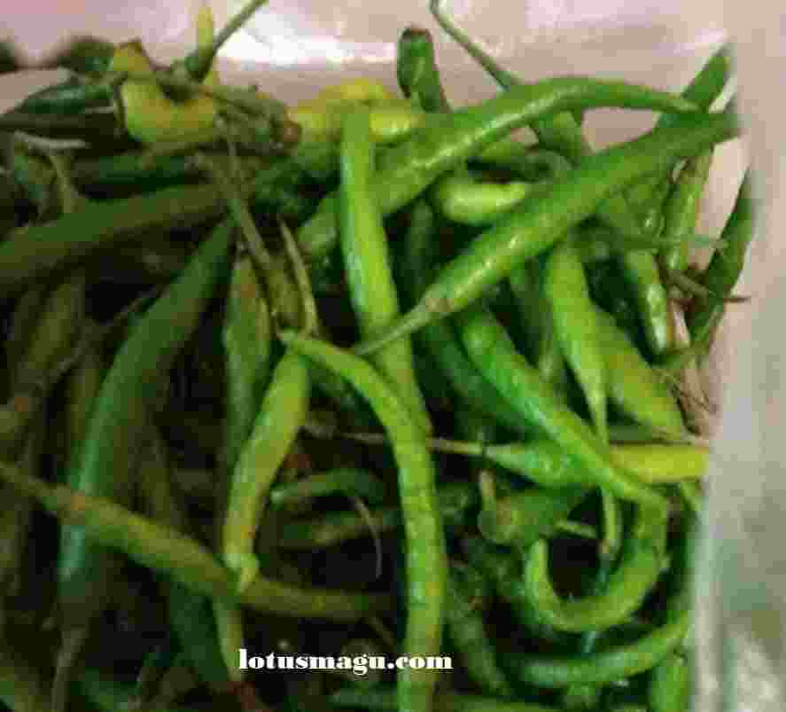 16 Vegetables That Are Actually Fruits (Scientifically Proven)