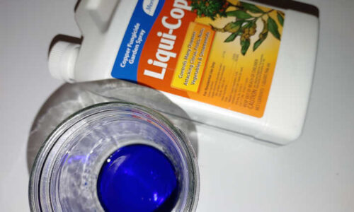 Copper Fungicide: Treat Disease, How It Works, Types, Benefits, Uses