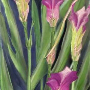 Gladiolus Flower Information - All About The Majestic Sword Lily