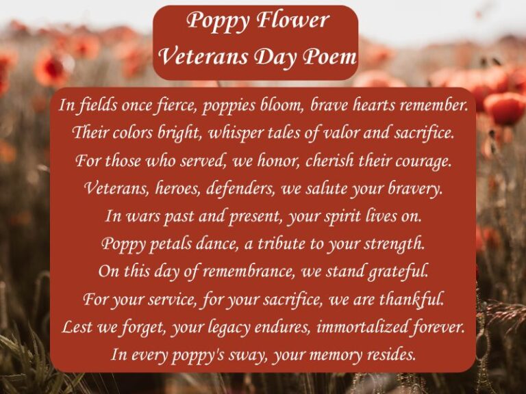 Poppy Flower Meaning - Spiritual, White, Orange, Red, Blue Symbolism