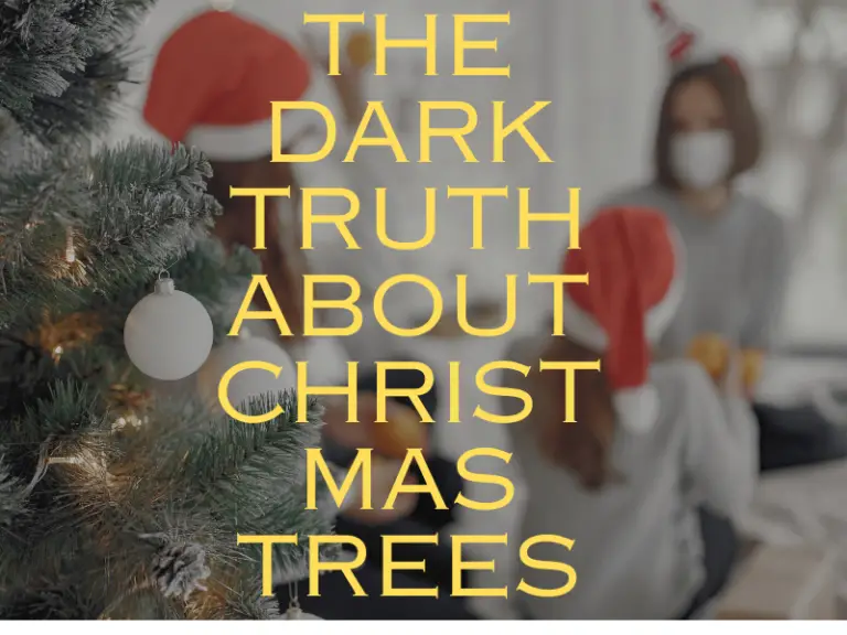 The Dark Truth About Christmas Trees