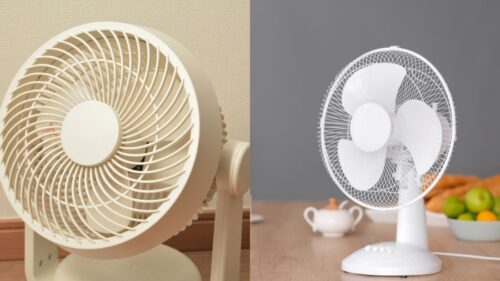 Circulators Vs Fans: Which Is Best For Your Indoor Plants? - Lotusmagus