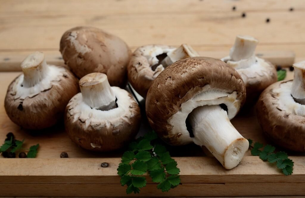 Brown Mushrooms Demystified: Edible or Toxic? Find Out!