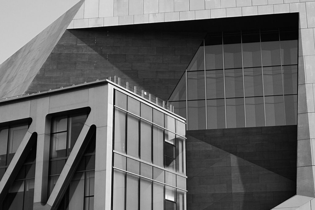 Black and White Bugs: Identify These Striking Critters!