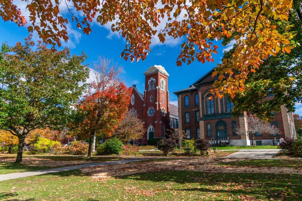 Arbres et arbustes aux baies rouges : des couleurs festives toute l'année