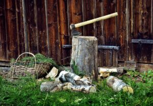 What Does "The Axe Forgets, The Tree Remembers" Mean?