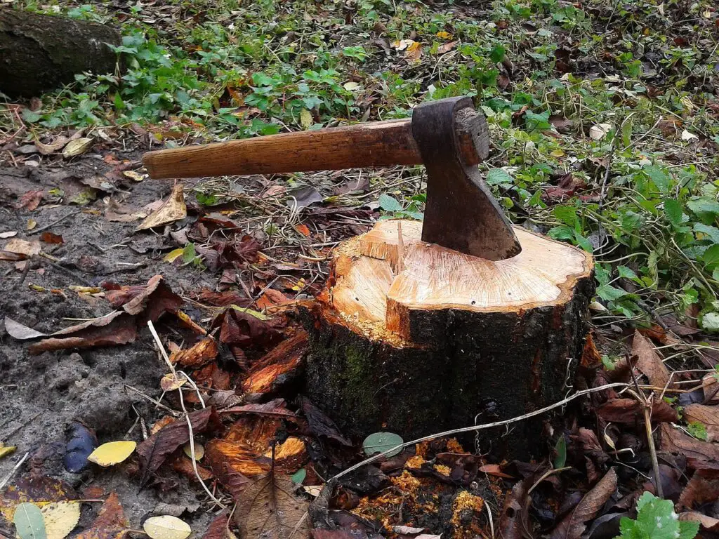 What Does "The Axe Forgets, The Tree Remembers" Mean?