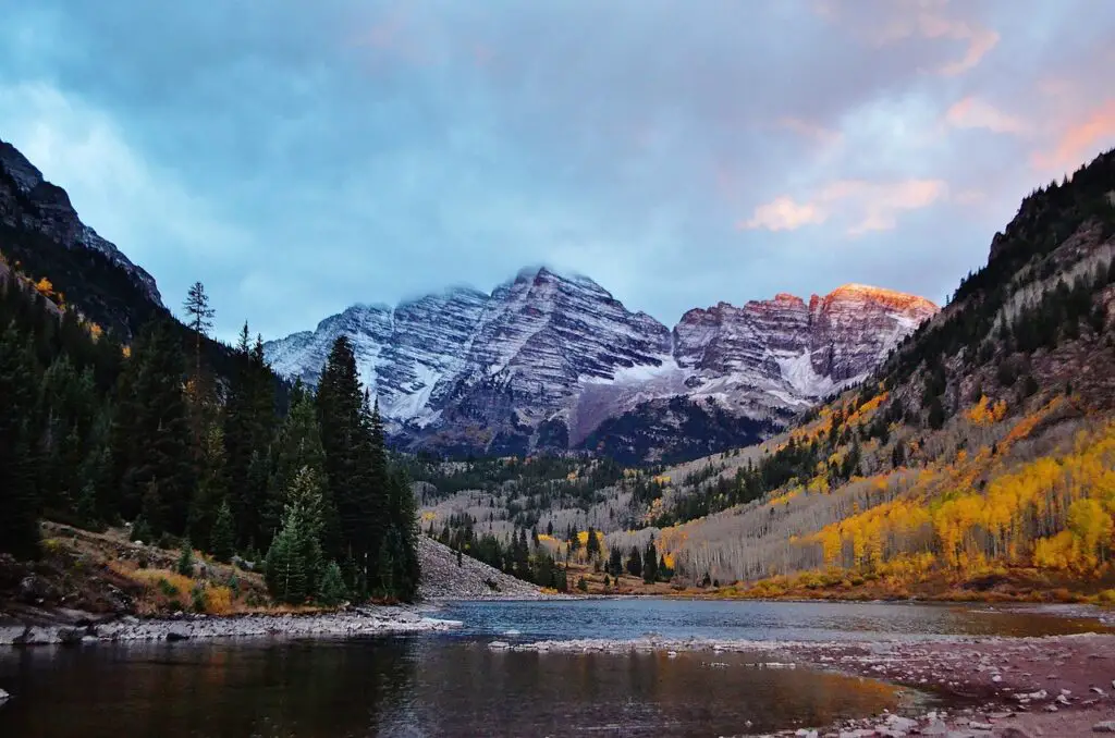 Aspen Tree Growth Rate and Adaptations to Climate