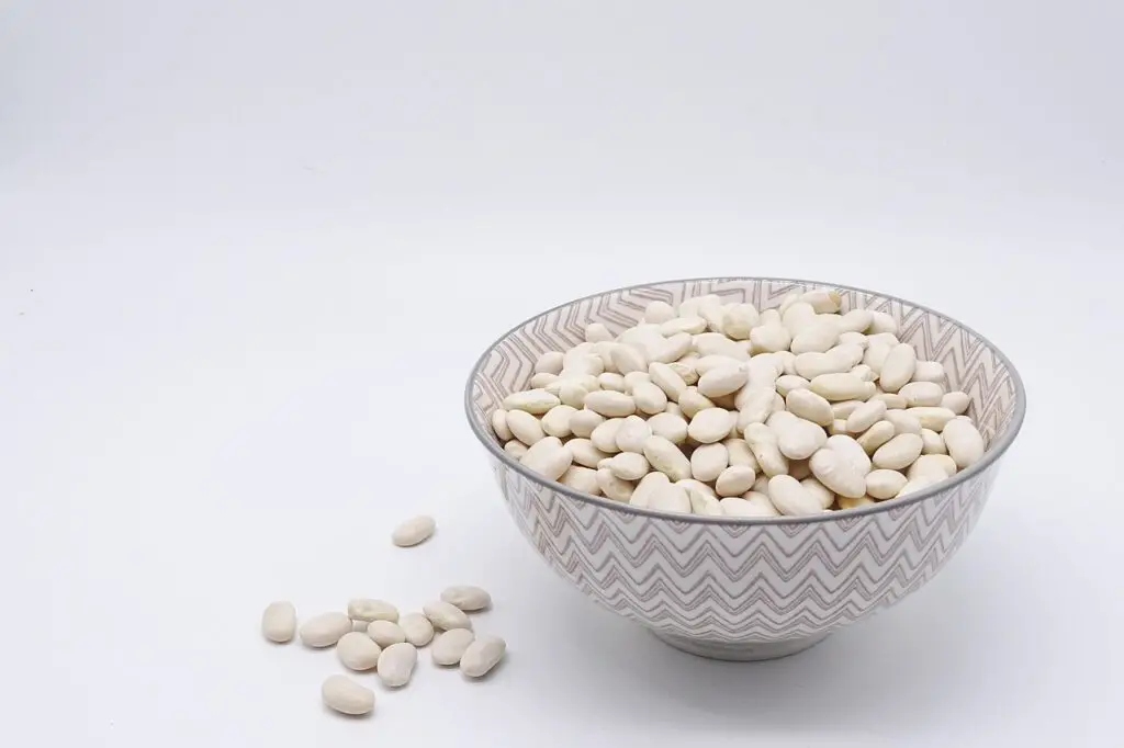 Guía de poda del frijol indio para paisajes grandes