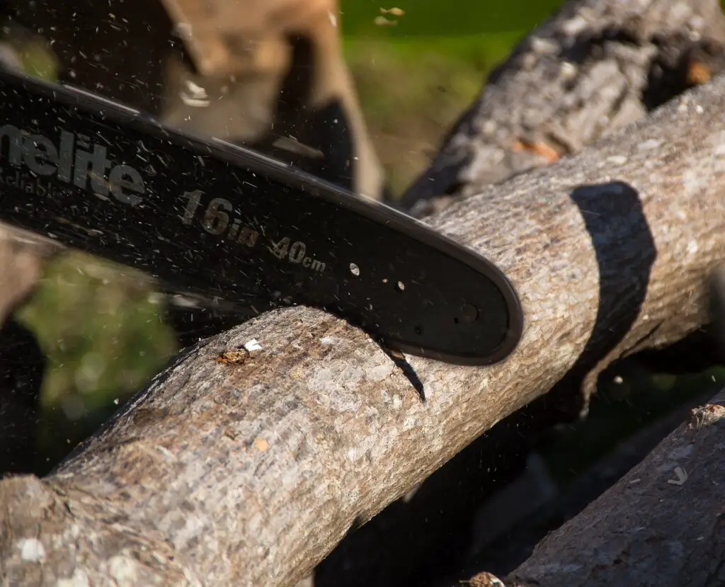 Top 10 Tree Pruning Saws for Professionals and Hobbyists