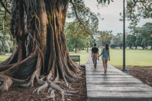 Banyan Tree Growing Guide: Tips for Healthy Growth