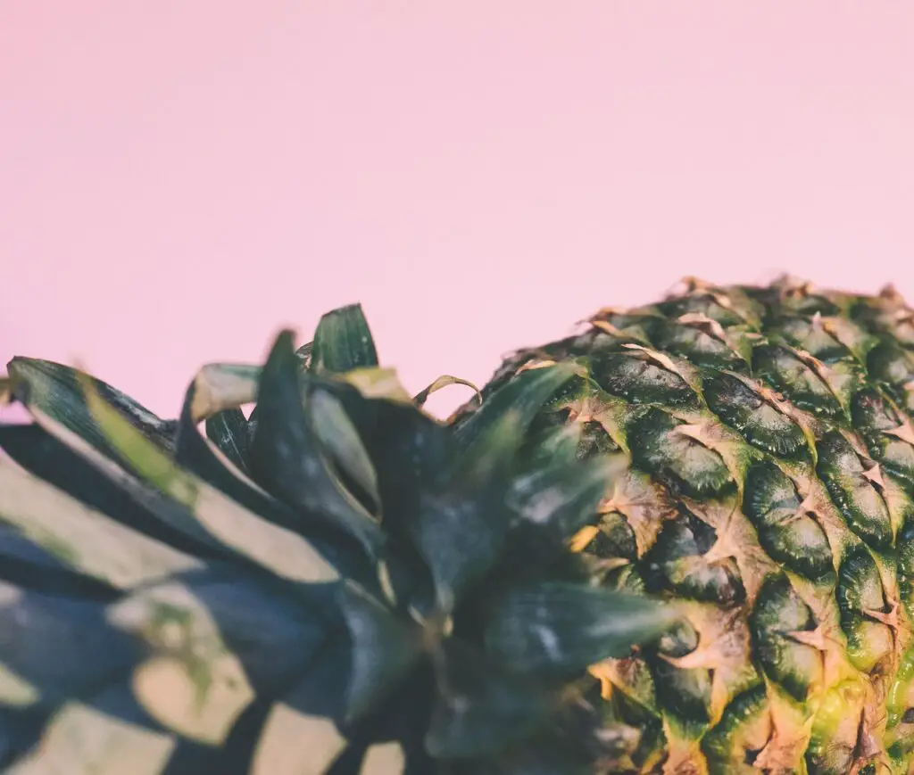 What Are Pink Pineapples? How to Grow and Care for Them
