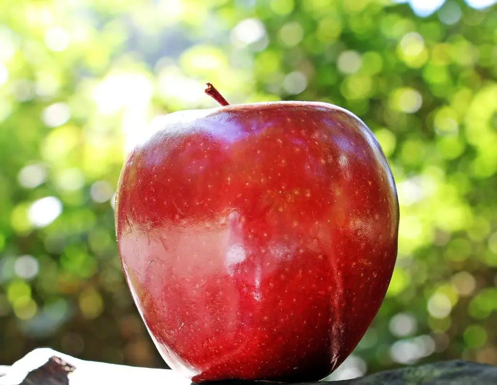 Top Green Apple Varieties and Their Growing Conditions