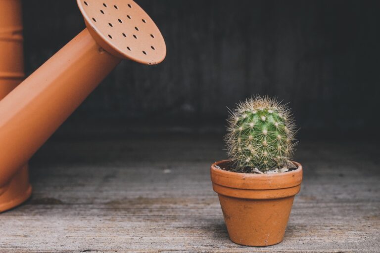 Top 5 Tropical Plant Pot Styles to Elevate Your Decor