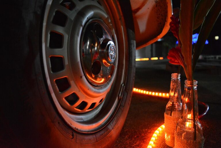 Tanaman Tropis dengan Cahaya Rendah: Pilihan Sempurna untuk Pemula